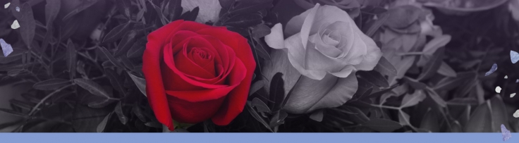 The Colours of Mourning | Crématorium Montréal